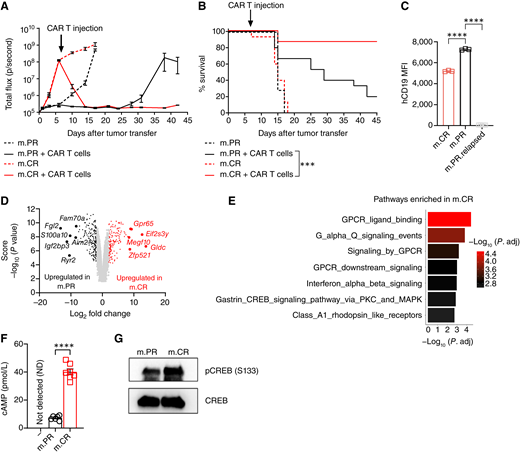 GPR65 Inactivation in Tumor Cells Drives Antigen-Independent CAR T-cell ...