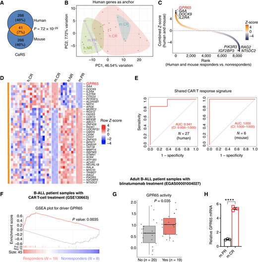 GPR65 Inactivation in Tumor Cells Drives Antigen-Independent CAR T-cell ...