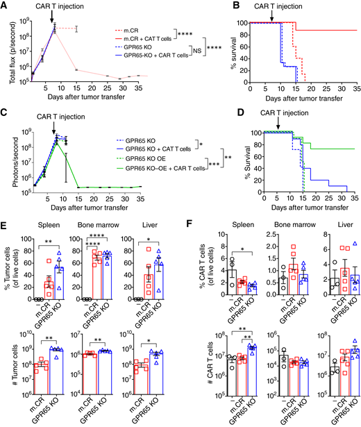 GPR65 Inactivation in Tumor Cells Drives Antigen-Independent CAR T-cell ...