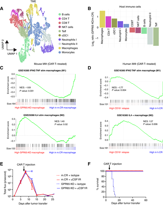 GPR65 Inactivation in Tumor Cells Drives Antigen-Independent CAR T-cell ...