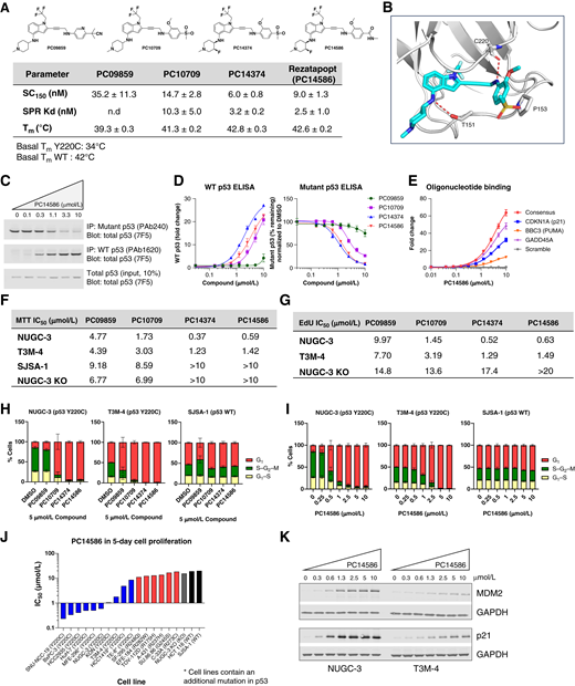 Restoration of the Tumor Suppressor Function of Y220C-Mutant p53 by Rezatapopt, a Small-Molecule ...
