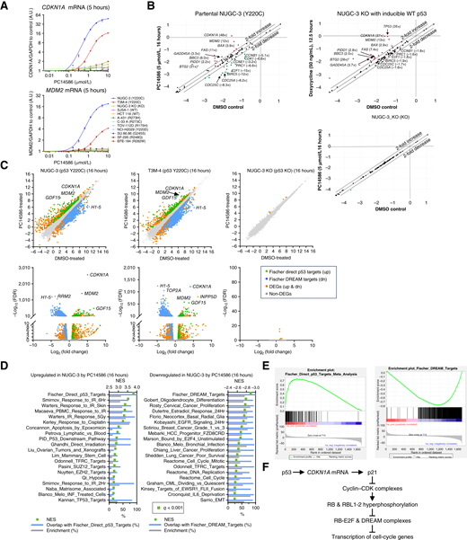 Restoration of the Tumor Suppressor Function of Y220C-Mutant p53 by Rezatapopt, a Small-Molecule ...