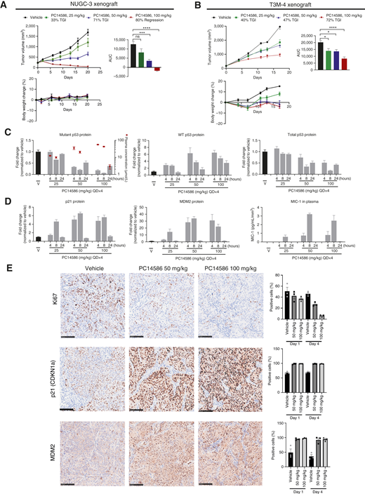 Restoration of the Tumor Suppressor Function of Y220C-Mutant p53 by ...
