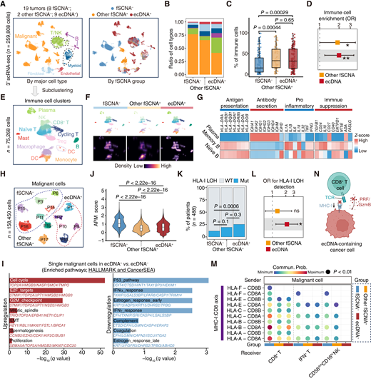 Spatial–Temporal Diversity of Extrachromosomal DNA Shapes Urothelial ...