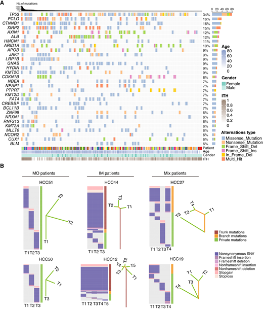 Intrahepatic Microbial Heterogeneity in Multifocal Hepatocellular ...
