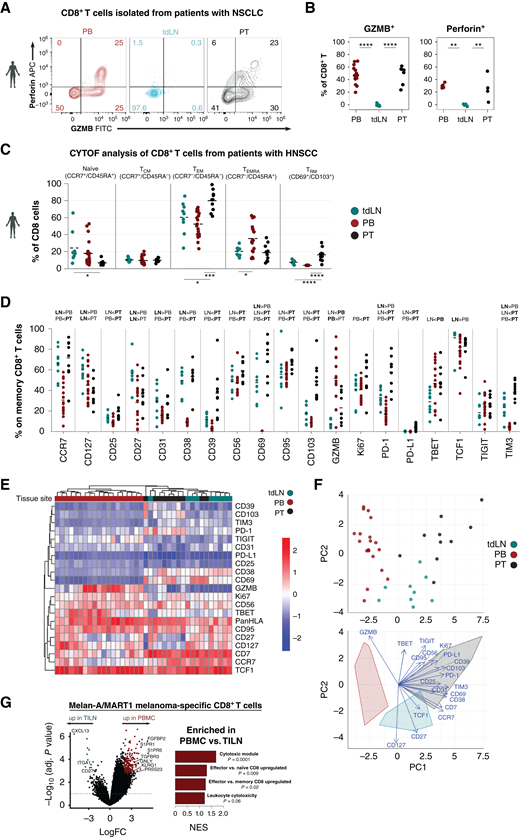 Intrinsic Properties of the Lymph Node Render It Immunologically ...
