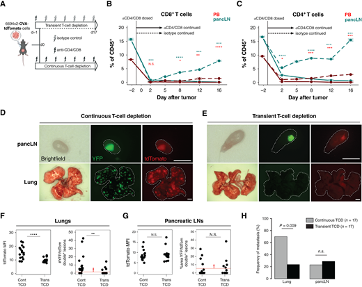 Intrinsic Properties of the Lymph Node Render It Immunologically ...