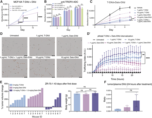 Trastuzumab Deruxtecan Resistance via Loss of HER2 Expression and ...