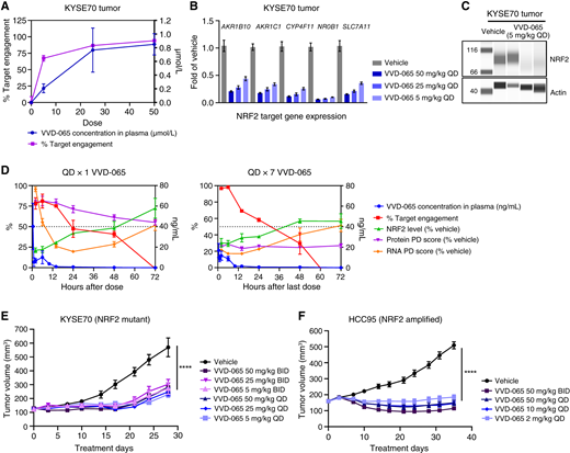 A Covalent Allosteric Molecular Glue Suppresses NRF2-Dependent Cancer ...