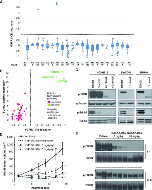 FGFR Genetic Alterations Predict for Sensitivity to NVP-BGJ398, a ...