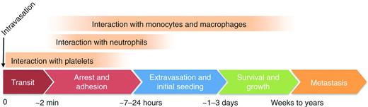 The Initial Hours of Metastasis: The Importance of Cooperative Host ...