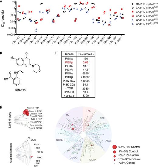 Functional Characterization of an Isoform-Selective Inhibitor of PI3K ...