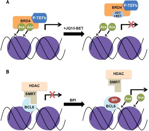 Emerging Epigenetic Targets and Therapies in Cancer Medicine | Cancer Discovery | American ...