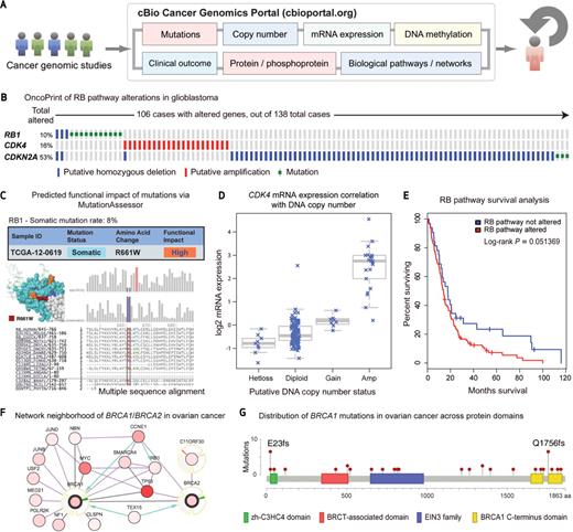 The cBio Cancer Genomics Portal: An Open Platform for Exploring ...