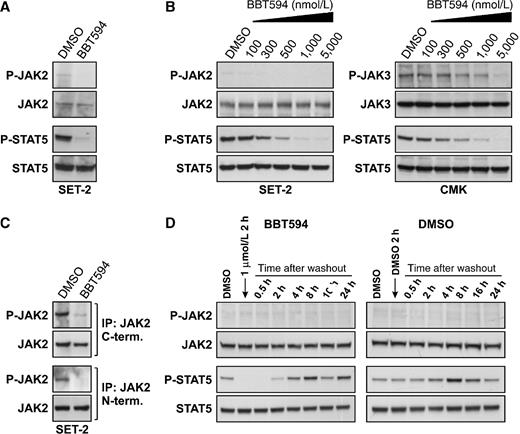 Modulation of Activation-Loop Phosphorylation by JAK Inhibitors Is ...