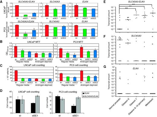 Chimeric Transcript Generated by cis-Splicing of Adjacent Genes ...