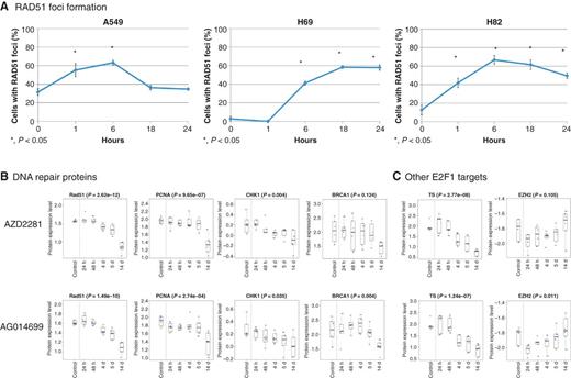 Proteomic Profiling Identifies Dysregulated Pathways in Small Cell Lung ...
