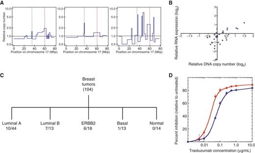 DDX5 Regulates DNA Replication and Is Required for Cell Proliferation ...