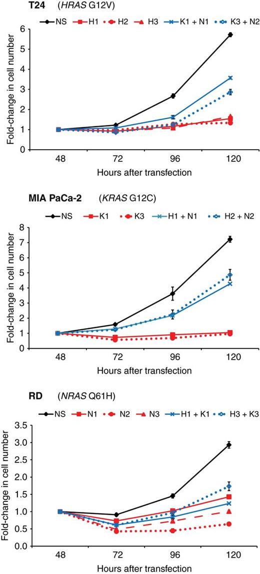 Oncogenic and Wild-type Ras Play Divergent Roles in the Regulation of ...