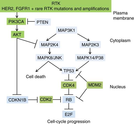 The Genomic Landscape of Breast Cancer as a Therapeutic Roadmap ...