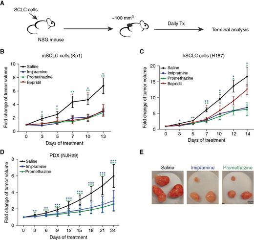 A Drug Repositioning Approach Identifies Tricyclic Antidepressants as ...