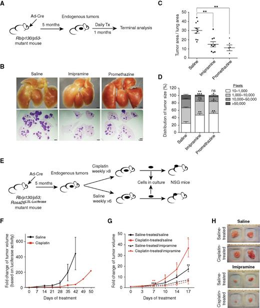 A Drug Repositioning Approach Identifies Tricyclic Antidepressants as ...