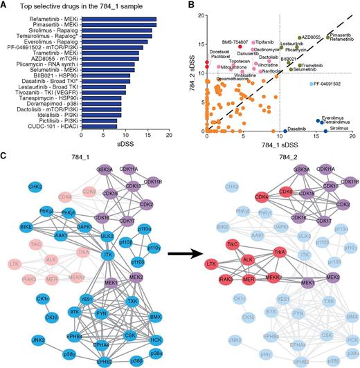 Individualized Systems Medicine Strategy to Tailor Treatments for ...