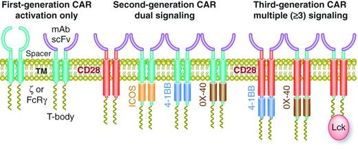 The Basic Principles of Chimeric Antigen Receptor Design | Cancer ...