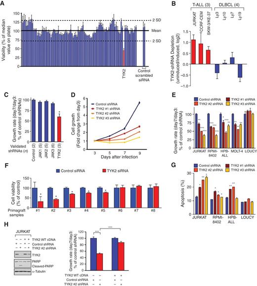 TYK2–STAT1–BCL2 Pathway Dependence in T-cell Acute Lymphoblastic ...