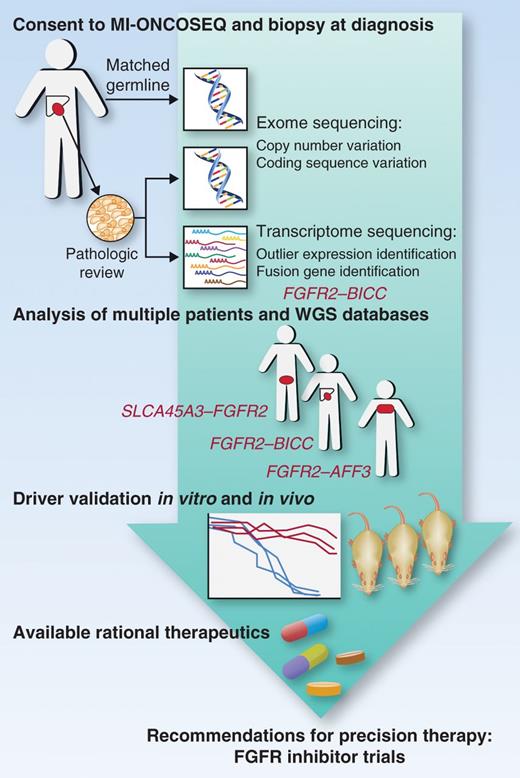 FGFR Fusions in the Driver's Seat | Cancer Discovery | American ...