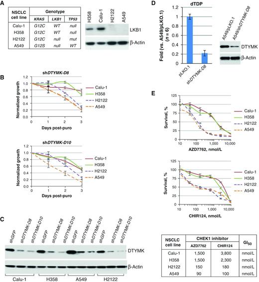 Metabolic and Functional Genomic Studies Identify Deoxythymidylate ...