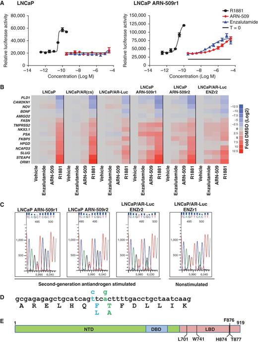 A Clinically Relevant Androgen Receptor Mutation Confers Resistance to ...