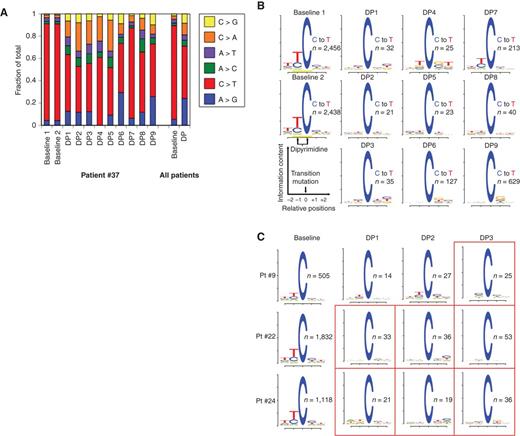 Acquired Resistance and Clonal Evolution in Melanoma during BRAF ...