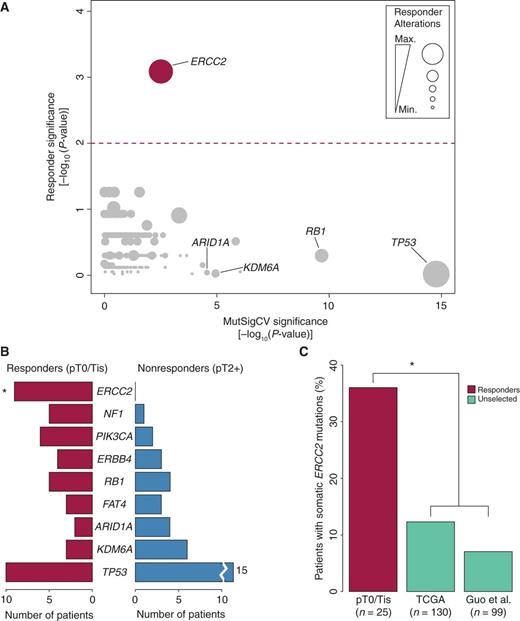 Somatic ERCC2 Mutations Correlate with Cisplatin Sensitivity in Muscle ...