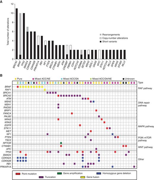 Comprehensive Genomic Profiling of Pancreatic Acinar Cell Carcinomas ...