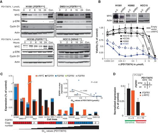Cell-Autonomous and Non–Cell-Autonomous Mechanisms of Transformation by ...