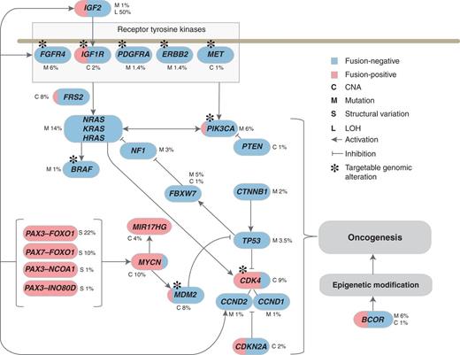 Comprehensive Genomic Analysis of Rhabdomyosarcoma Reveals a Landscape ...
