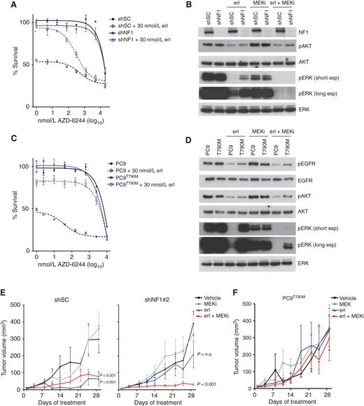 Reduced NF1 Expression Confers Resistance to EGFR Inhibition in Lung ...