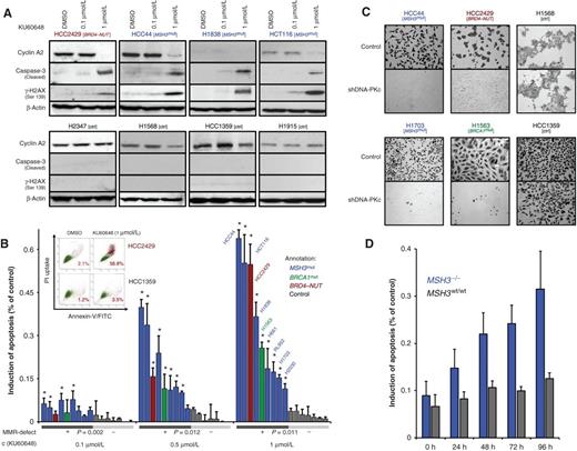 A Functional Cancer Genomics Screen Identifies a Druggable Synthetic ...