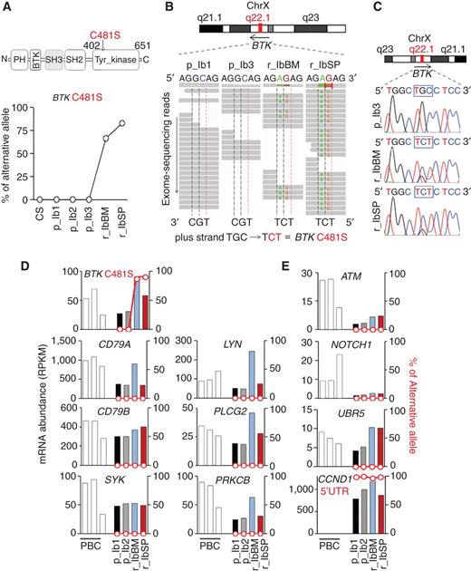 Cell-Cycle Reprogramming for PI3K Inhibition Overrides a Relapse ...