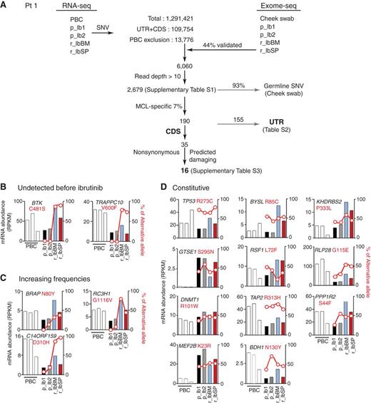 Cell-Cycle Reprogramming for PI3K Inhibition Overrides a Relapse ...
