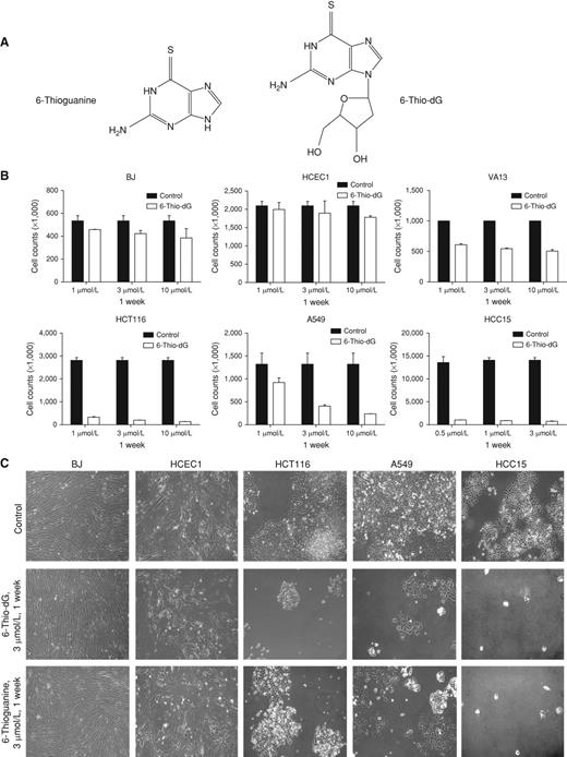 Induction of Telomere Dysfunction Mediated by the Telomerase Substrate ...