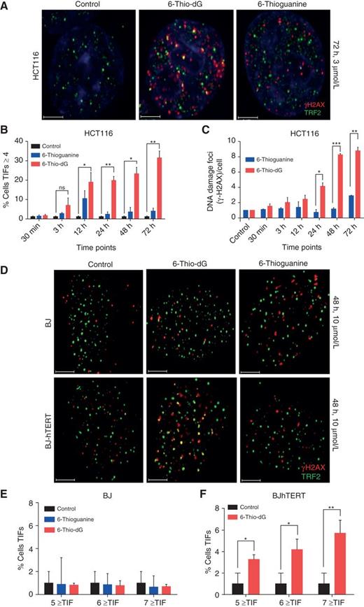 Induction of Telomere Dysfunction Mediated by the Telomerase Substrate ...