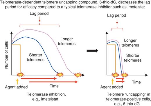 Induction of Telomere Dysfunction Mediated by the Telomerase Substrate ...