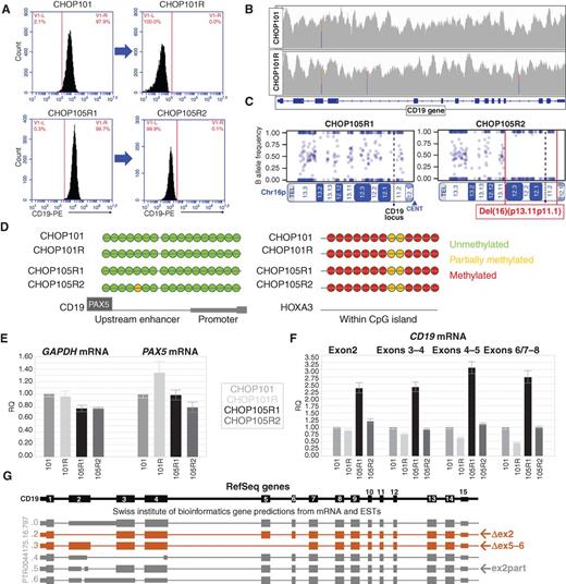 Convergence of Acquired Mutations and Alternative Splicing of CD19 ...