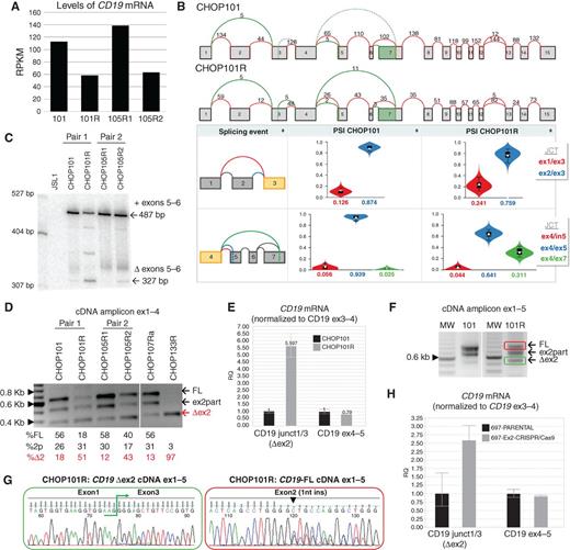 Convergence of Acquired Mutations and Alternative Splicing of CD19 ...
