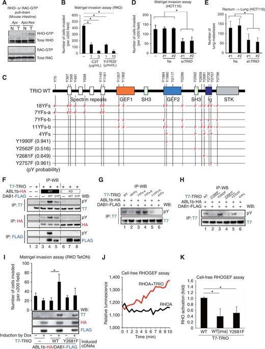 Promotion of Colorectal Cancer Invasion and Metastasis through ...