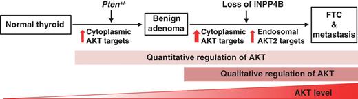 In Vivo Role of INPP4B in Tumor and Metastasis Suppression through ...