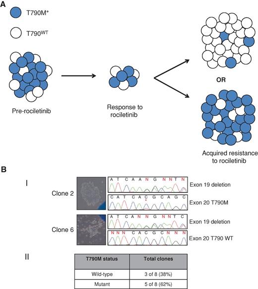 Heterogeneity Underlies the Emergence of EGFRT790 Wild-Type Clones ...