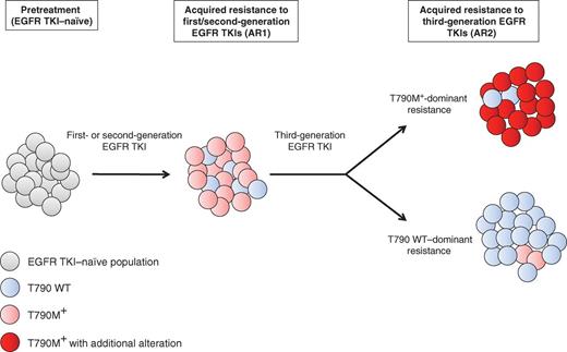 Shades of T790M: Intratumor Heterogeneity in EGFR-Mutant Lung Cancer ...